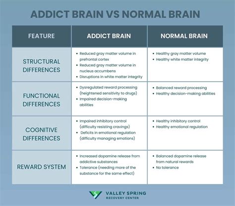 How Does Addiction Affect The Brain 14 Nuerotransmitters