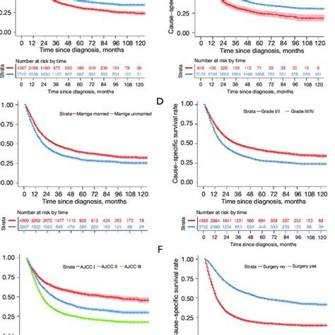 Kaplan Meier Curves By Different Characteristics A Age B Race