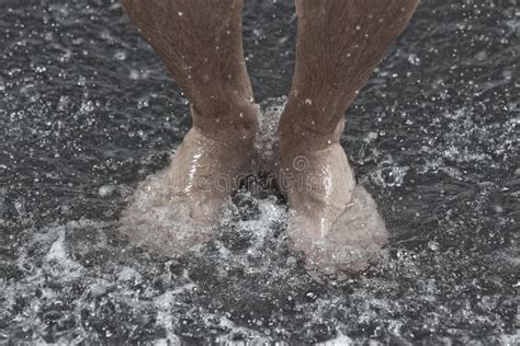 Man feet stock image. Image of energy, fresh, splashing - 10613819