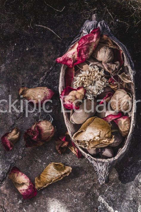 Compra Y Vende Fotografía Stock Editorial Y Comercial Stockipic Ecuador