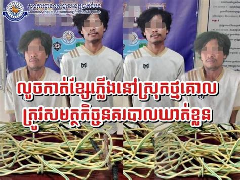 នគរបាលស្រុកថ្មគោលឃាត់ខ្លួនបុរសម្នាក់ក្នុងករណីលួចកាត់ខ្សែភ្លេីងប្រជាពលរដ្ឋក្នុងមូលដ្ឋាន នគរដ្រេហ្គន