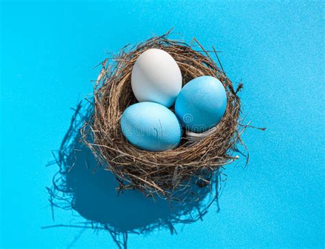 Three Easter Eggs In A Nest With A Hard Shadow On A Blue Background