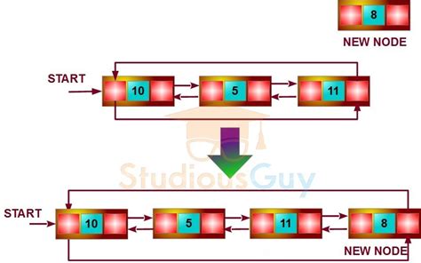 Circular Doubly Linked List In Data Structure Studiousguy