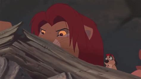 Lion King Timon Hula