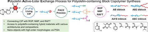 One‐for‐all Polyolefin Functionalization Active Ester As Gateway To