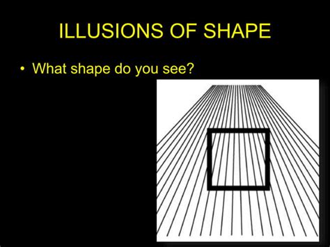 Understanding The Perceptual Processpptx