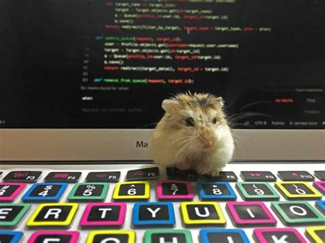 Nextjs Shadcn Ui Build A Stunning Admin Dashboard In 2024 By Codew Medium