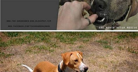 This Never Fails To Put A Smile On My Face Imgur