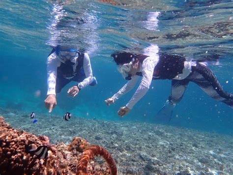 【石垣島】シュノーケリングスポット10選 ウィークルマガジン