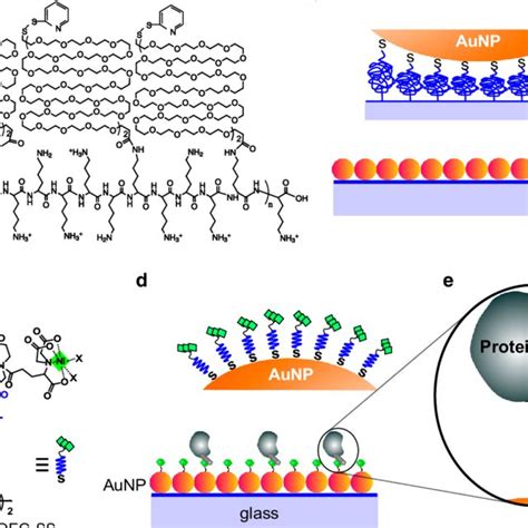Self Assembly Of Functionalized Aunp Monolayers For Lspr Detection Of