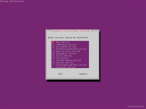 Vmware Ubuntu Server Used Fallback Datasource Csdn