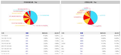 网站访问日志分析