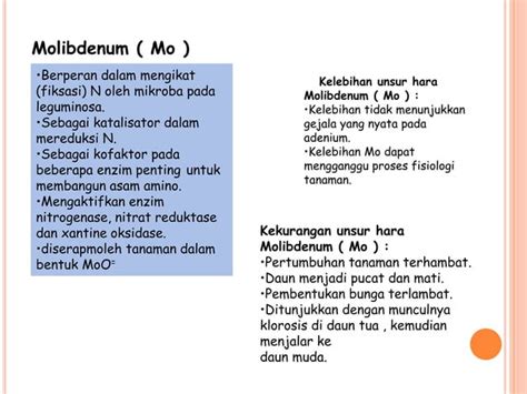 Unsur Hara Mikro PPTX