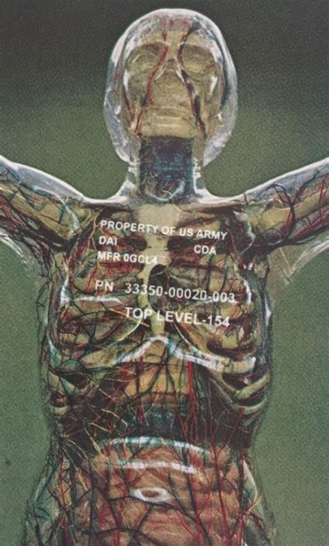 Technological Existentialism On Tumblr