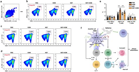 Ifn γ⁺ Il 4⁺ And Il 17a⁺ Of Cd4⁺ T Cells Analysis Ad Flow Cytometry