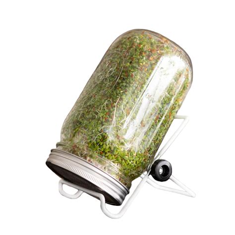 Sprouting Seeds Equipment Australia At Kim Delapaz Blog