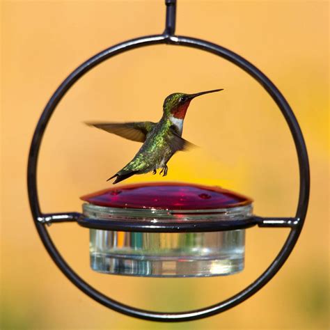 跨境新品 Hummingbird Feeder 金属简易蜂鸟喂水器悬挂式喂食器 阿里巴巴
