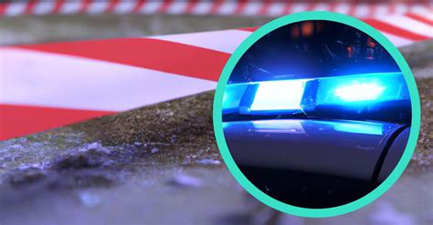 Von Stamm erschlagen 30 Jähriger stirbt bei Holzarbeiten in Vöckelsbach