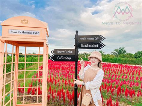 สวนดอกไม้กาญจนบุรี คาเฟ่สวนดอกไม้กาญจนบุรี ทุ่งดอกไม้กาญจนบุรี