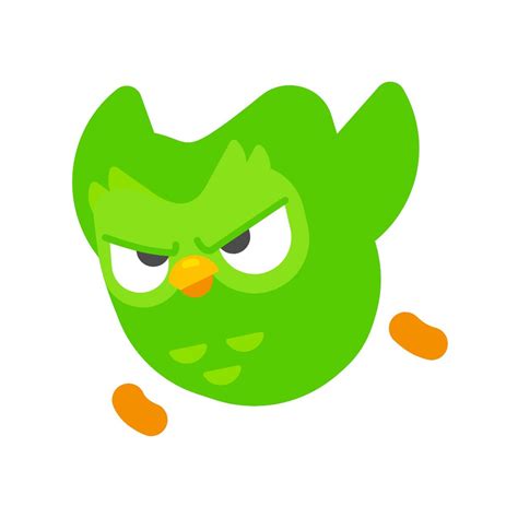 Duolingo Owl