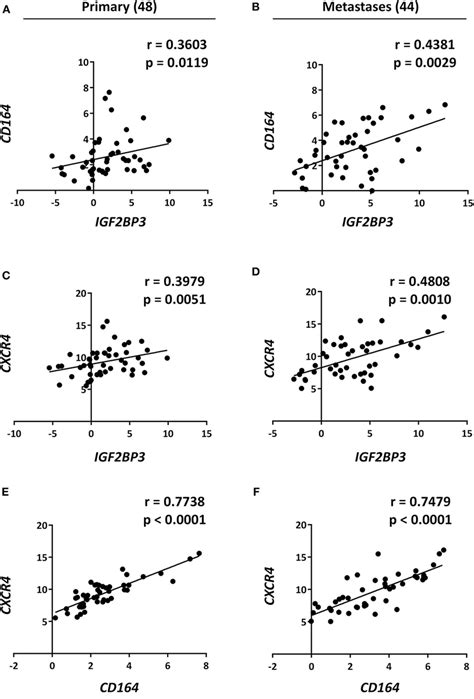Functional Relevance Of Igf2bp3cxcr4 Axis In Ews Cells A Western