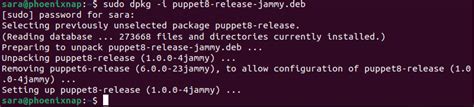 How To Install Puppet On Ubuntu And Phoenixnap Kb