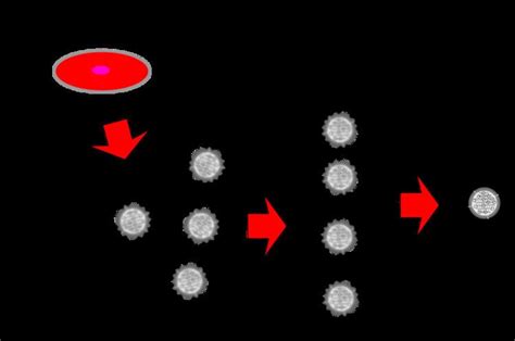 Single Particle Analysis Alchetron The Free Social Encyclopedia