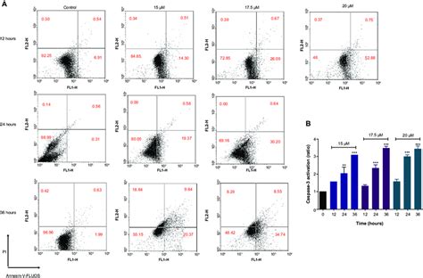 A Dendrosomal Curcumin Induced Apoptosis Using Download Scientific Diagram