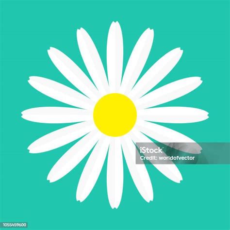 화이트 카모마일 데이지 꽃 라운드 아이콘 카밀레의 꽃잎 사랑 카드입니다 성장 개념입니다 귀여운 공장 컬렉션입니다 평면