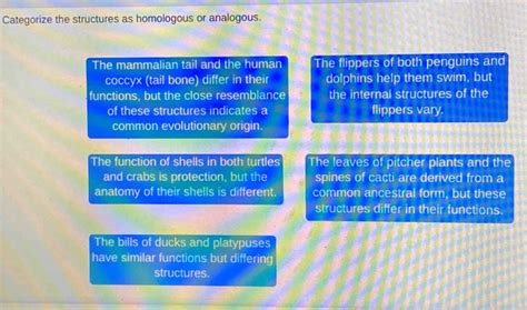 Categorize The Structures As Homologous Or Analogous The Mammalian