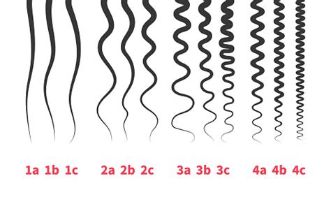Detailed Hair Types Chart Set Of Strands Growth Patterns Vektorgrafik