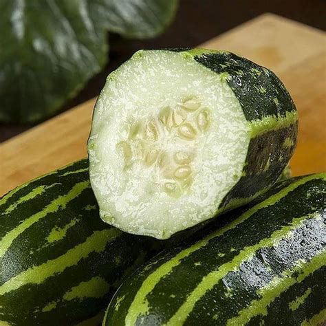 Benih Tembikai Sayur Asli Kulit Bunga Biji Tembikai Sayur Rangup Kulit