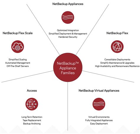turnkey agile backup solution with netbackup flex appliances