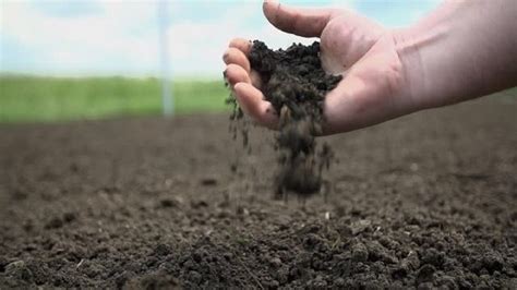 Kharif Season अजित पवारांनी मिटवला खरिपाचा प्रश्न पीक पध्दतीबाबत दिला
