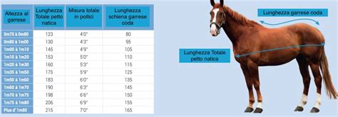 Guida Alla Scelta Della Taglia Della Coperta Per Il Cavallo