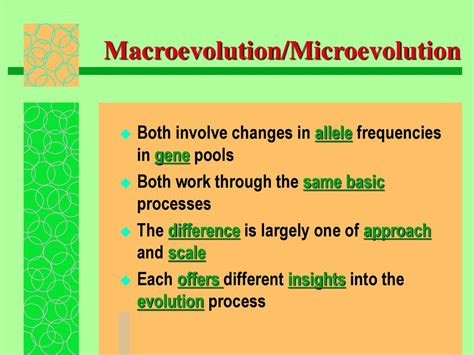 Patterns Of Evolution Ppt Download