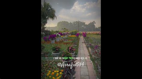 রোজাদারের দোয়া মহান আল্লাহ তায়ালা কখনো ফেরত দেন না। Youtube