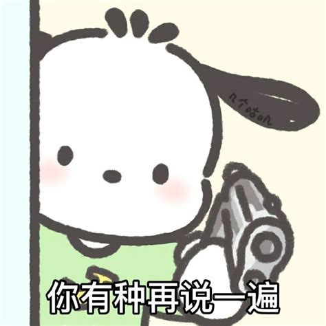 帕恰狗 堆糖，美图壁纸兴趣社区