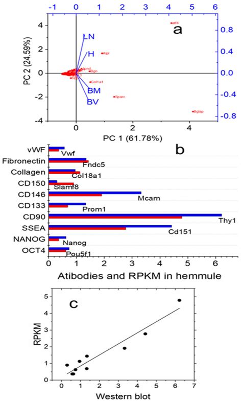 Rna Seq Pca