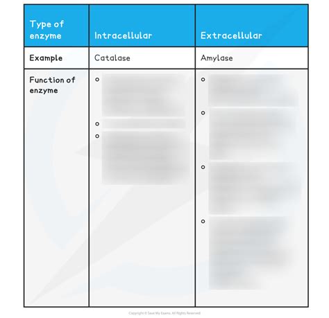 210iii Intracellular And Extracellular Enzymes Diagram Quizlet
