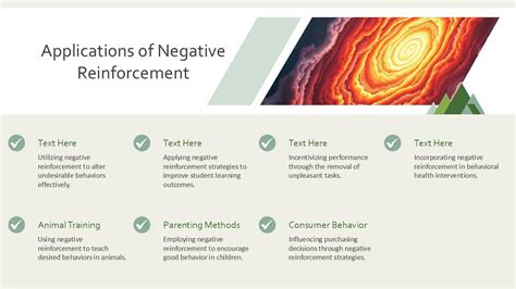 Negative Reinforcement Big Bang Theory Ppt Example Acp Ppt Sample