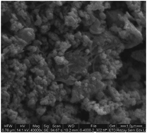 The Sem Image Of Fe3o4 Sio2 Il‐pvp Download Scientific Diagram