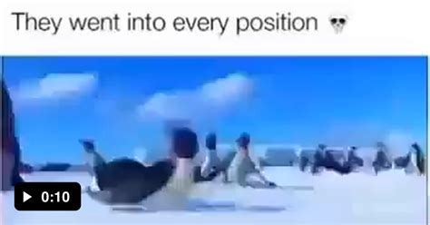 Animation Movies Introducing Each And Every Sex Position Possible Just