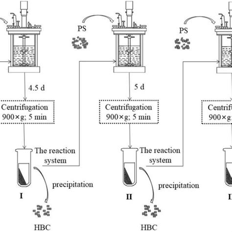 The Schematic Diagram Of The Recycled Batch Biotransformation