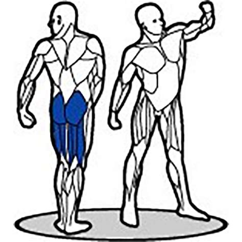 Banc Lombaires Hyper Extension Bodytonicform