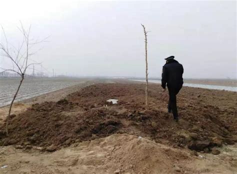 破坏耕地挖深坑执法部门强制恢复原状 半岛网