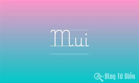 Danh Từ Mui Là Gì Từ đồng Nghĩa Trái Nghĩa Từ Điển Tiếng Việt