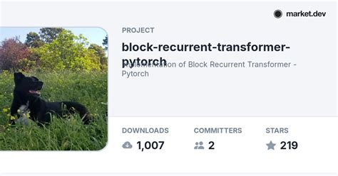 Block Recurrent Transformer Pytorch Ecosystem Directory Marketdev