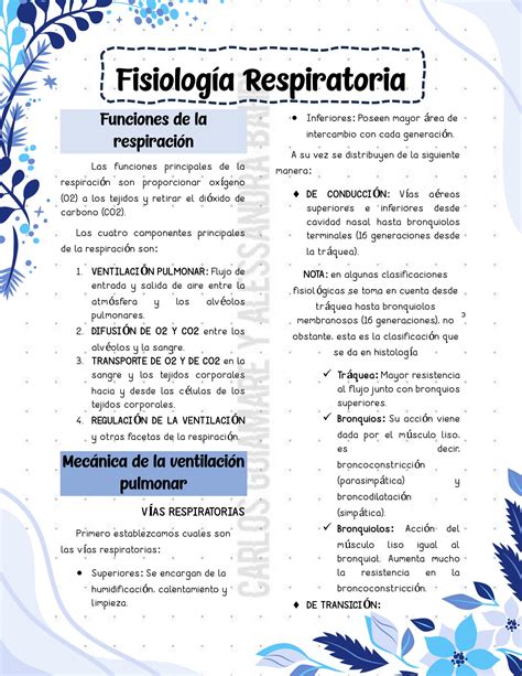 SOLUTION Fisiolog A Respiratoria Mecanica De La Ventilaci N Gu A De