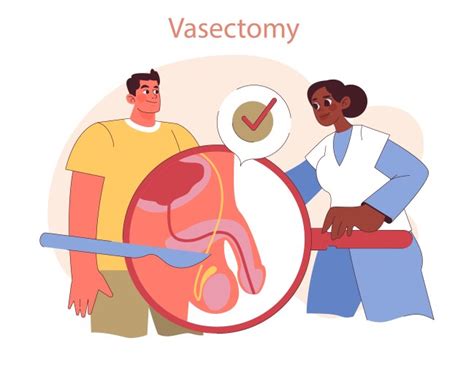 Types Of Contraception Man Considers Vasectomy Vector Image